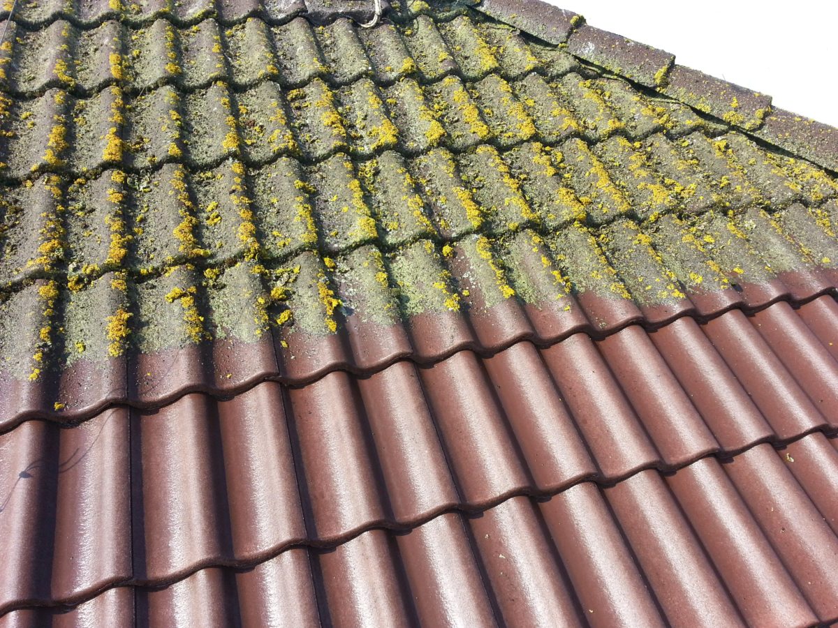 Katuse puhastus - Katusepesu ja katusehooldus - Puhaskatus.ee